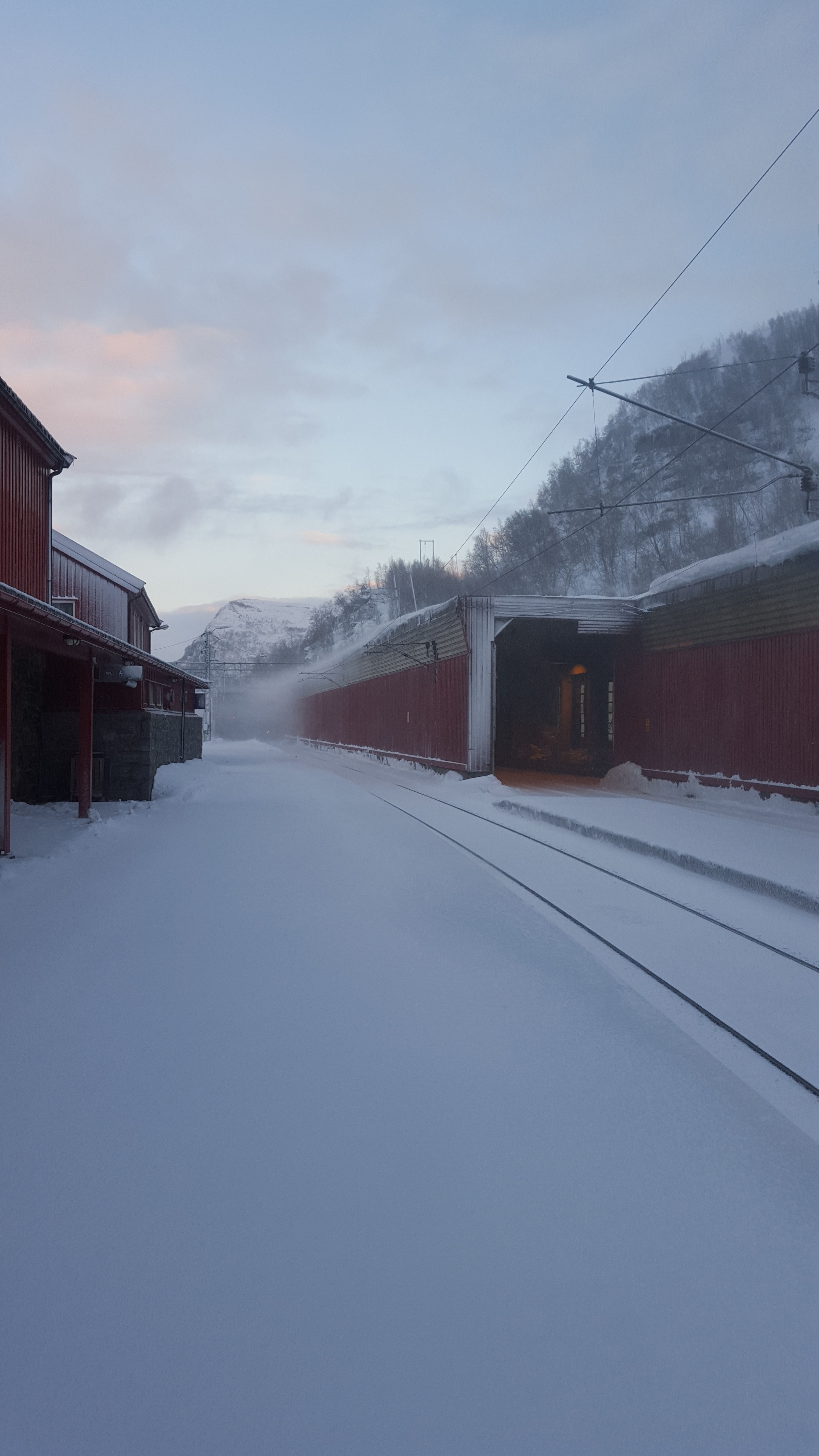 Norway in a Nutshell Bergen to Oslo - Destination's Journey