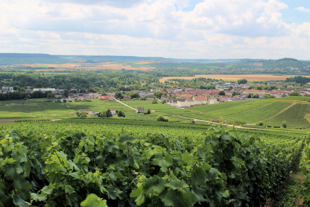 Champagne Region France - Destination's Journey