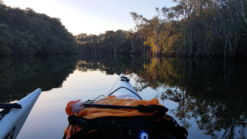 Hunter Wetlands National Park Kayaking With School of Yak - Destination ...