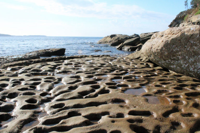 Kamay Botany Bay National Park Archives - Destination's Journey
