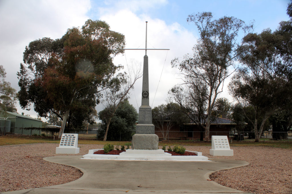 Merriwa Sheep Beautiful Golden Canola - Destination's Journey