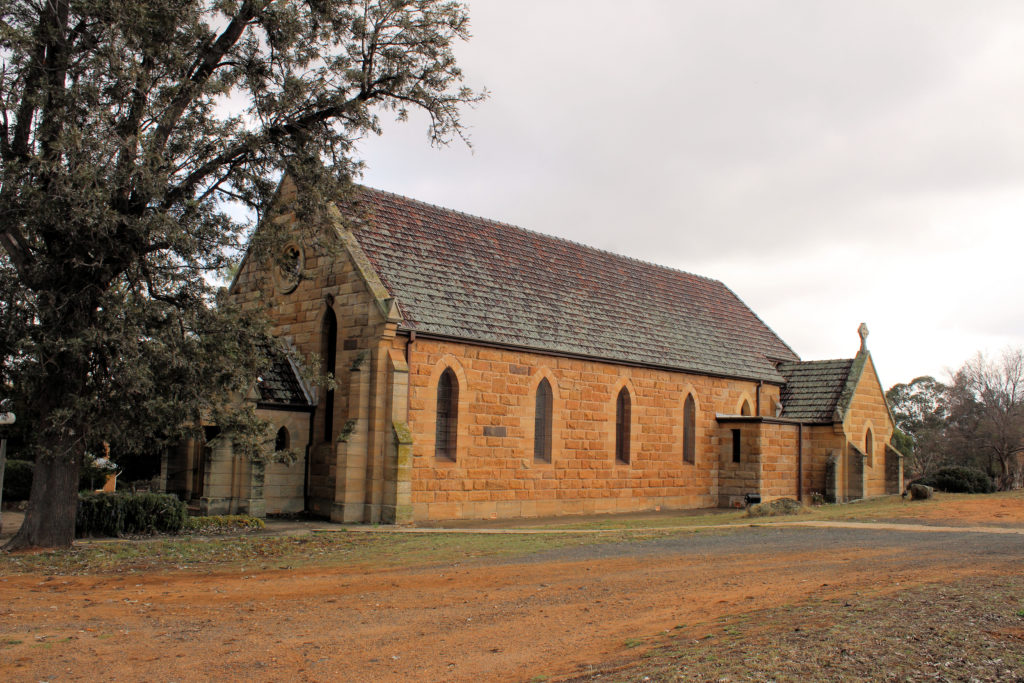 Merriwa Sheep Beautiful Golden Canola - Destination's Journey