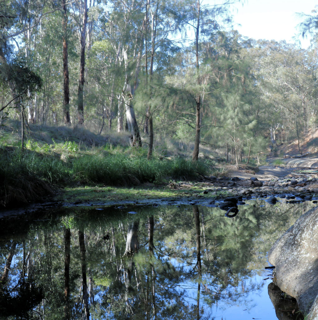 Scone New South Wales Hunter Valley - Destination's Journey