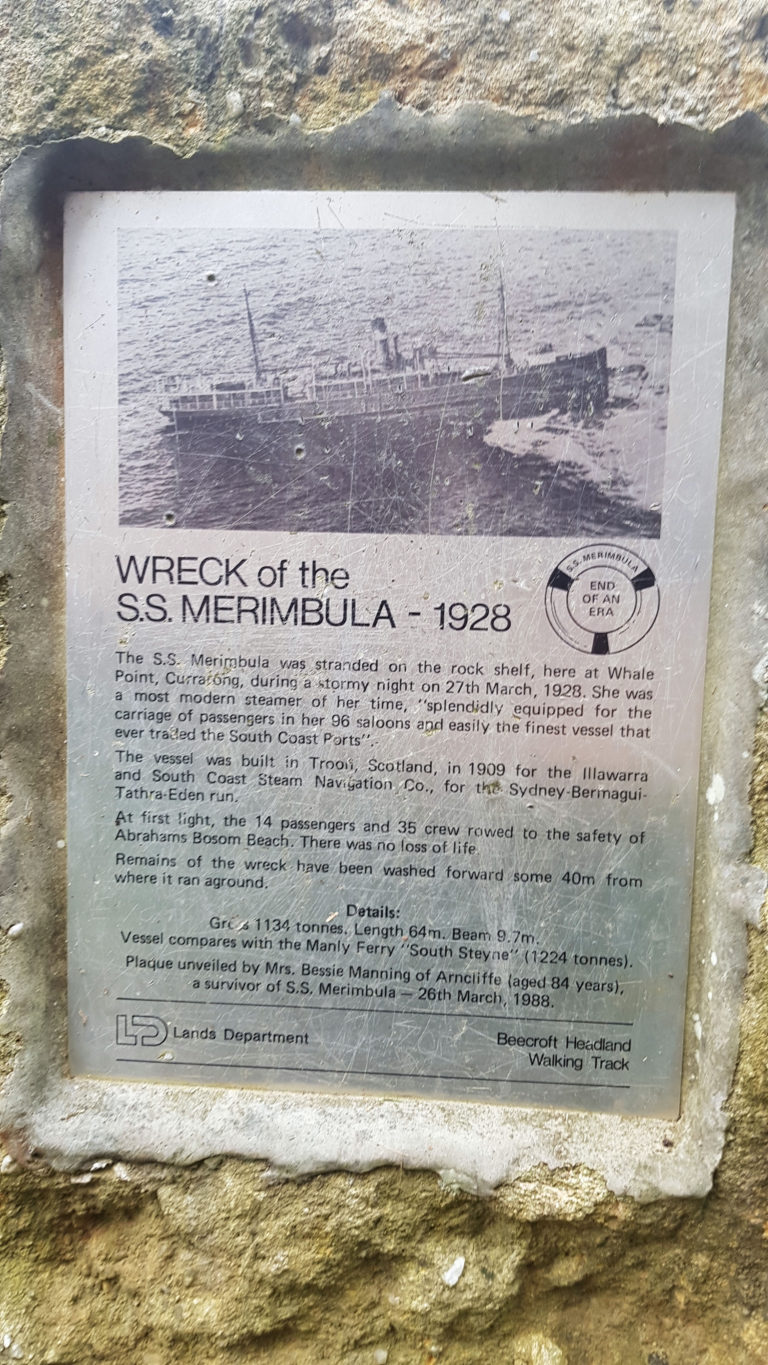 Shipwrecks - Destination's Journey