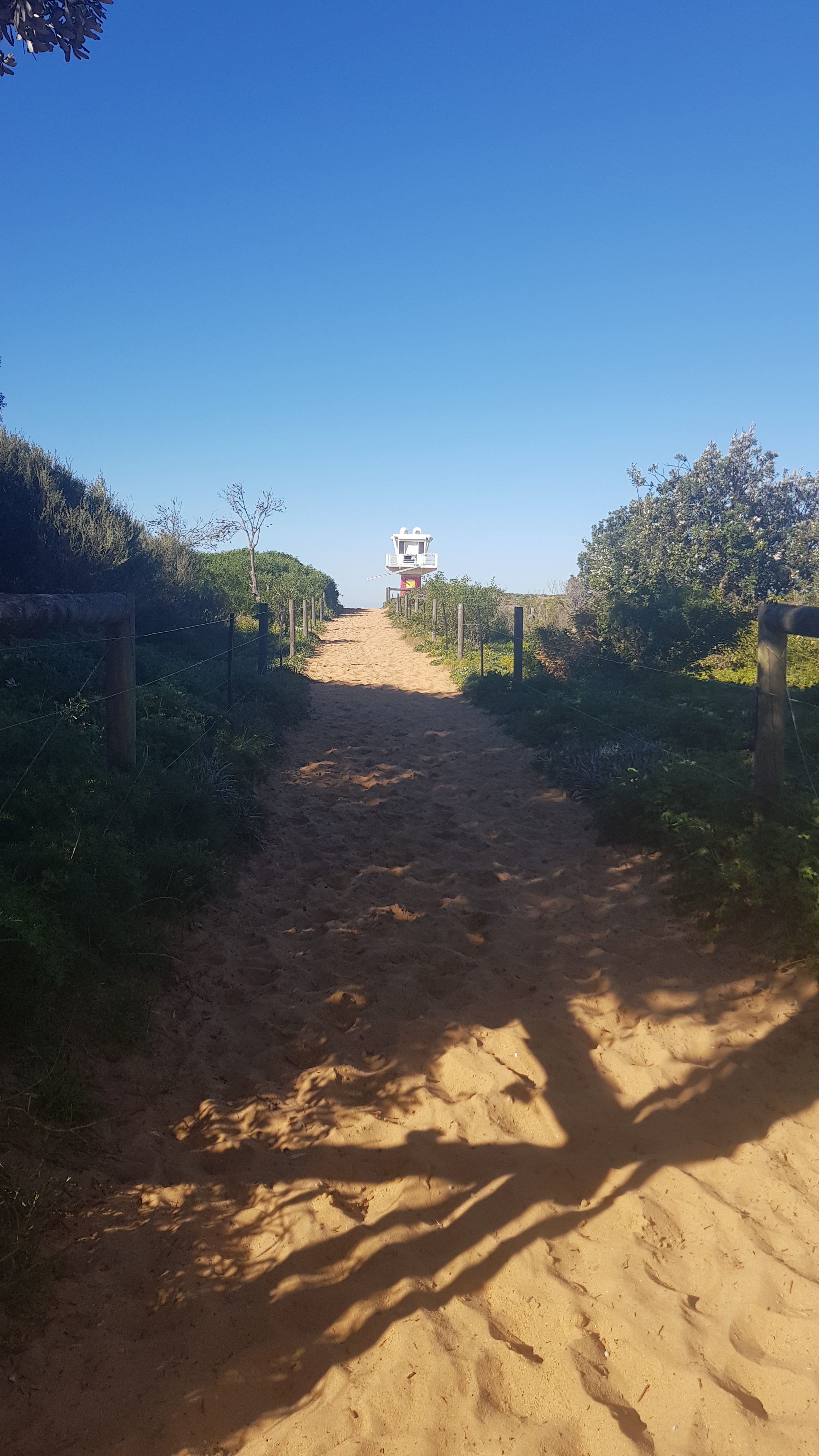 Avoca Beach and Rock Platform - Destination's Journey