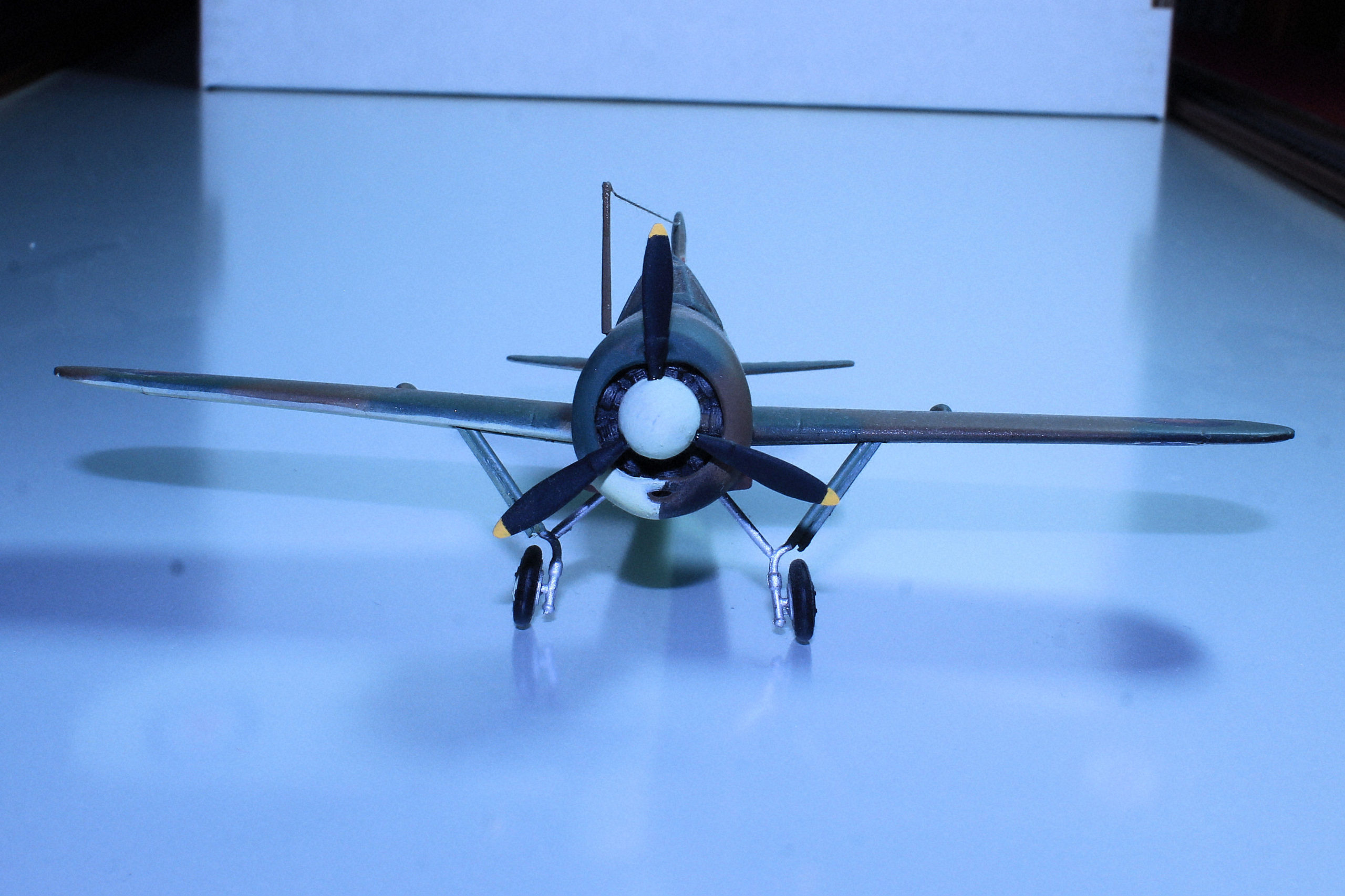 Brewster F2A Buffalo - Destination's Journey