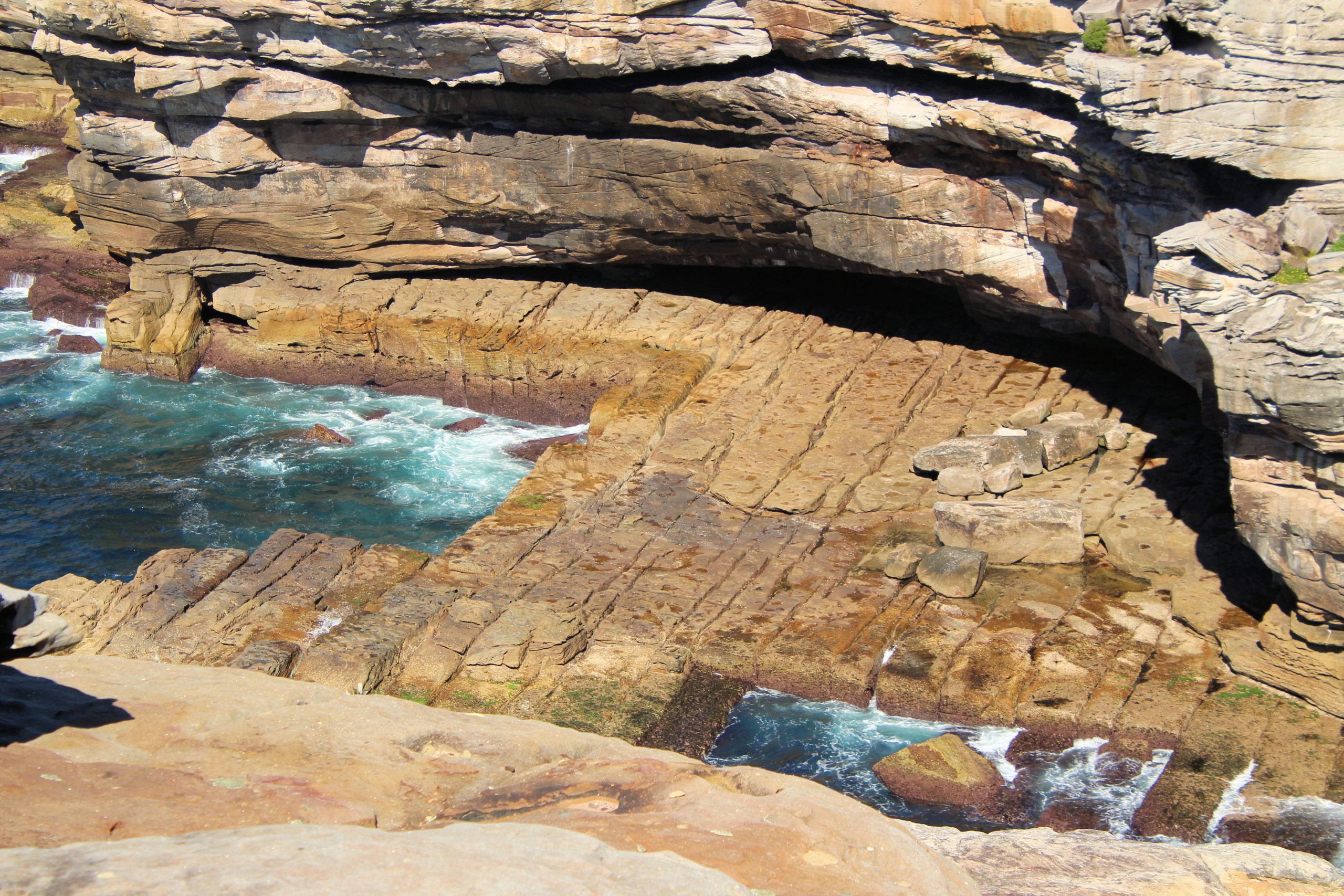 Federation Cliffs Walk Sydney Australia - Destination's Journey