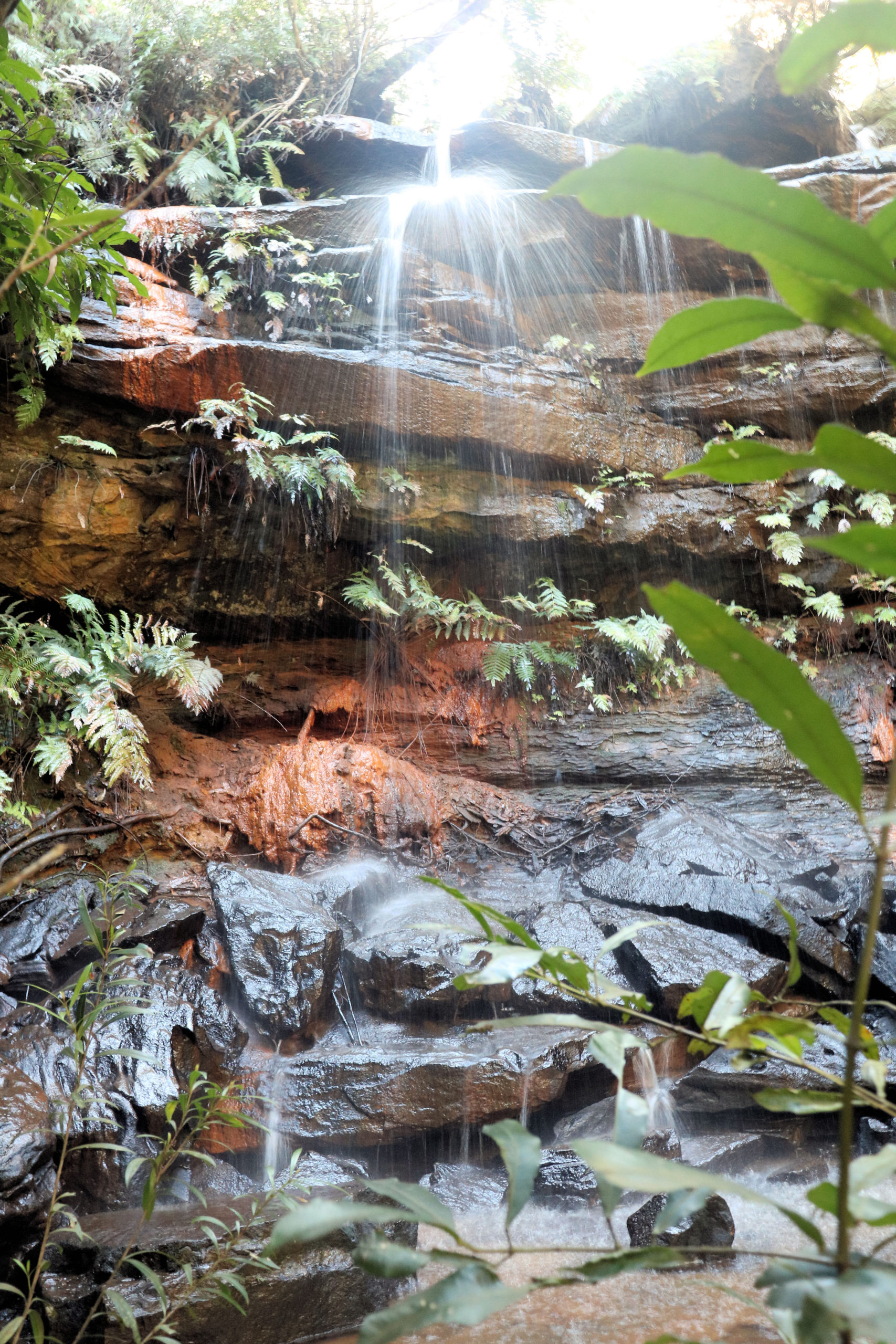 Girrakool Loop Track Brisbane Water National Park - Destination's Journey