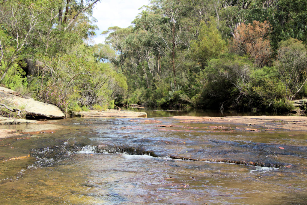 Karloo Pools Track Royal National Park - Destination's Journey