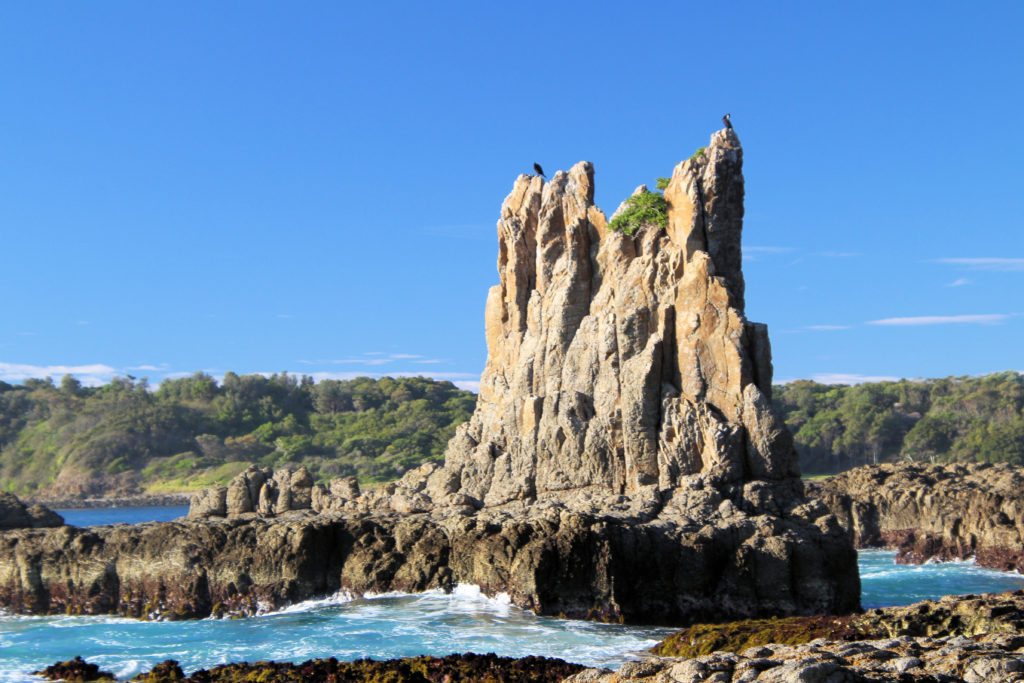 Cathedral Rocks Kiama on the NSW South Coast - Destination's Journey