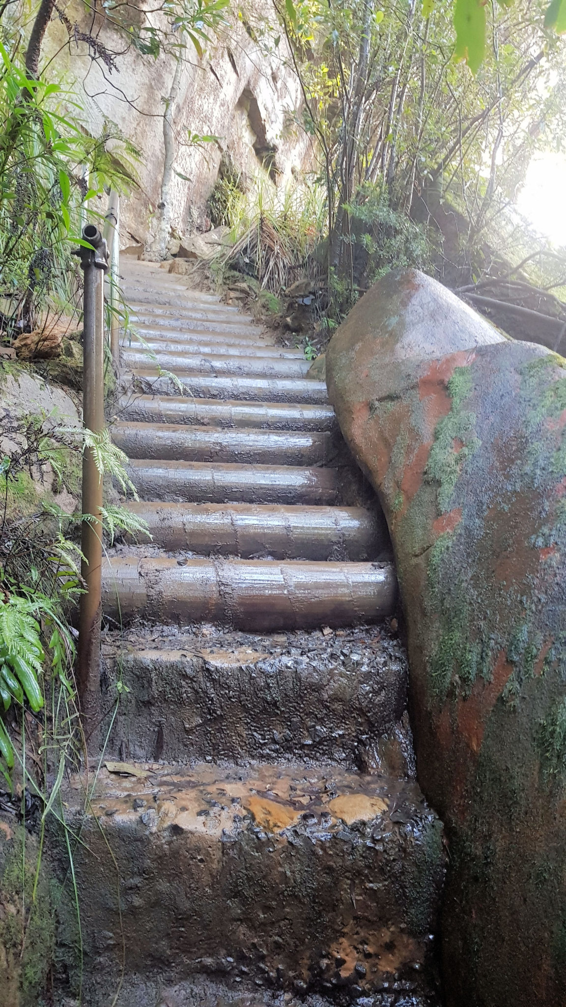 Beautiful Piles Creek Loop Track - Destination's Journey