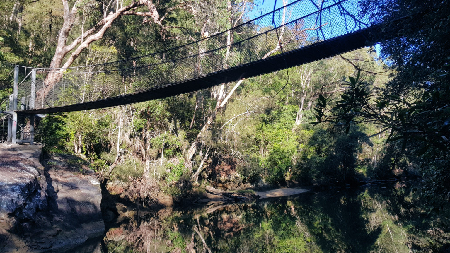Beautiful Piles Creek Loop Track - Destination's Journey