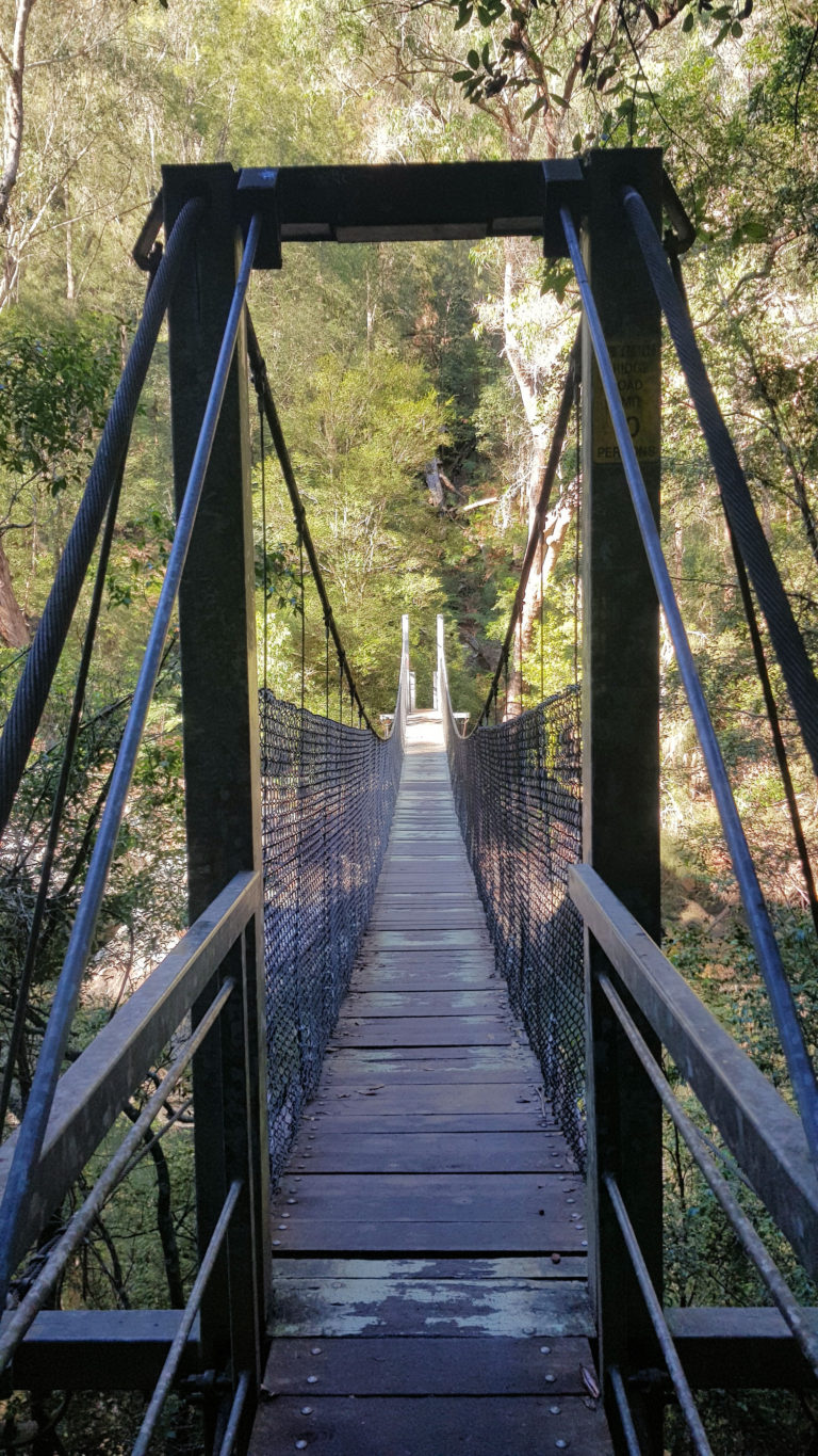 Beautiful Piles Creek Loop Track - Destination's Journey