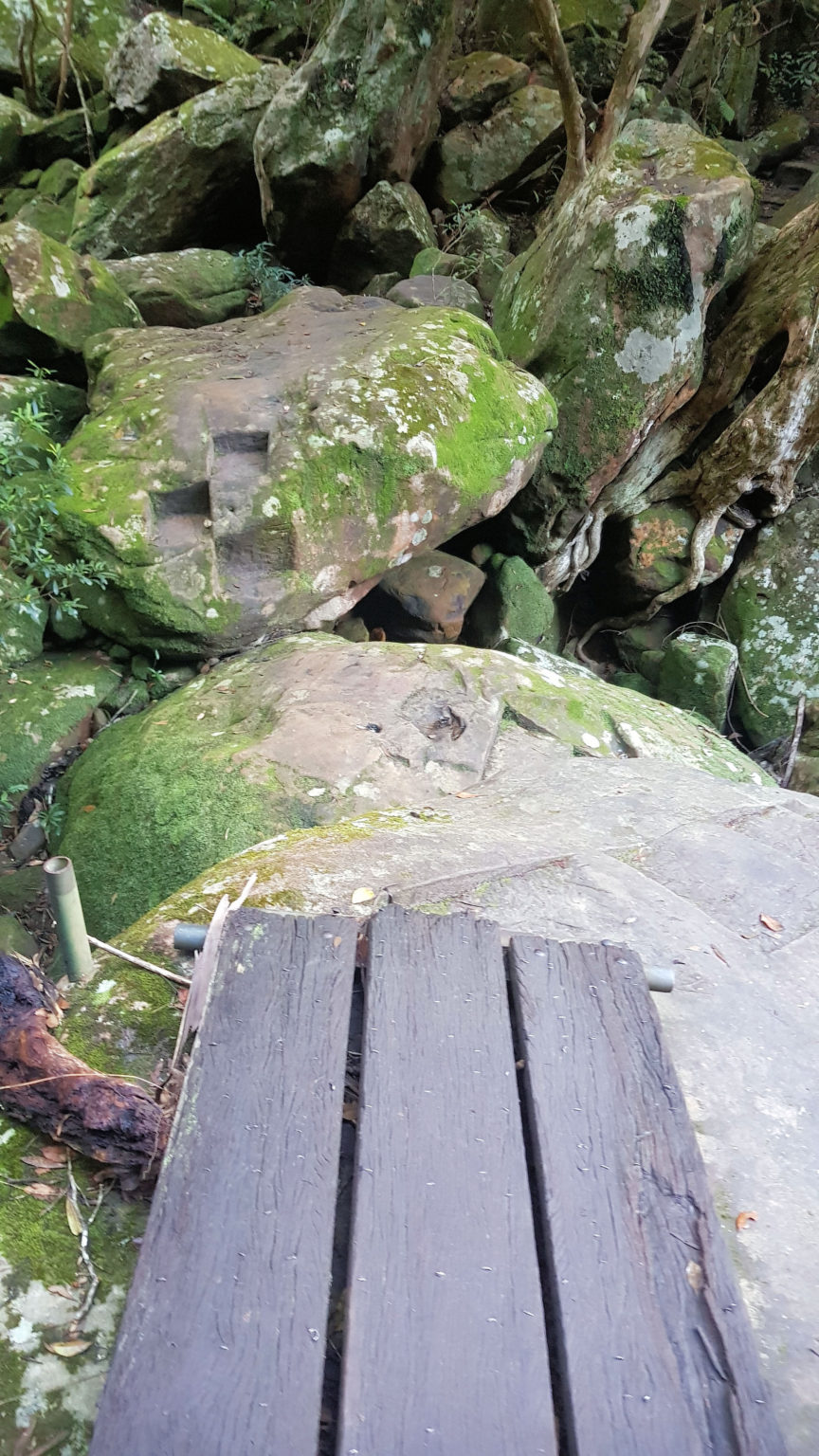 Beautiful Piles Creek Loop Track - Destination's Journey