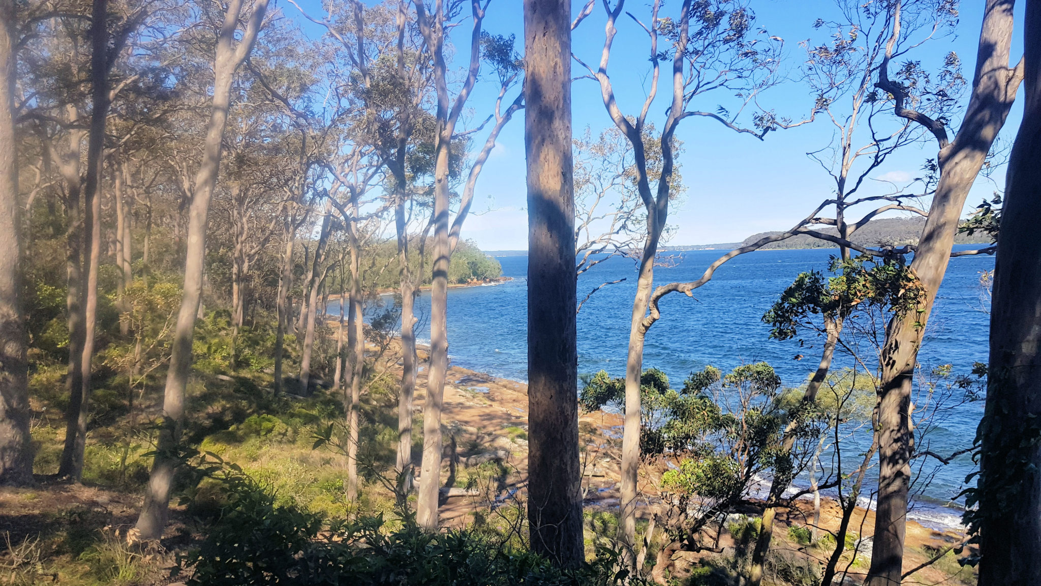 Beautiful Wangi Point Circuit Track - Destination's Journey