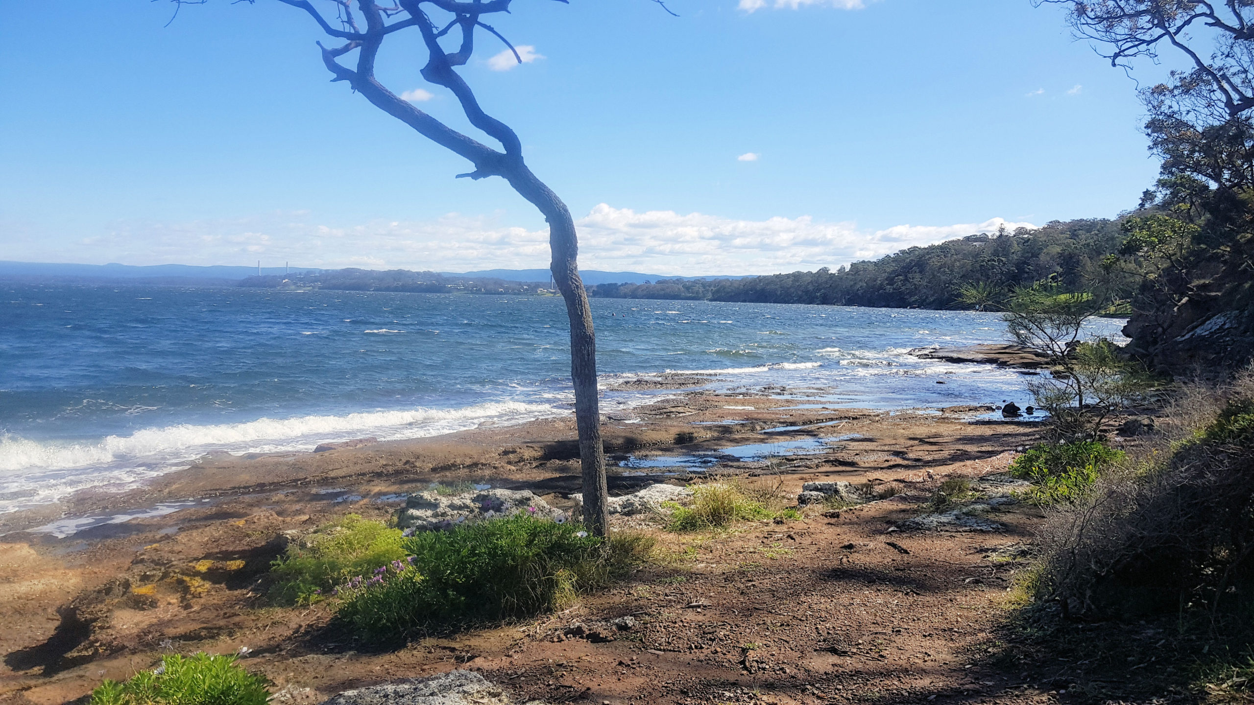 Beautiful Wangi Point Circuit Track - Destination's Journey