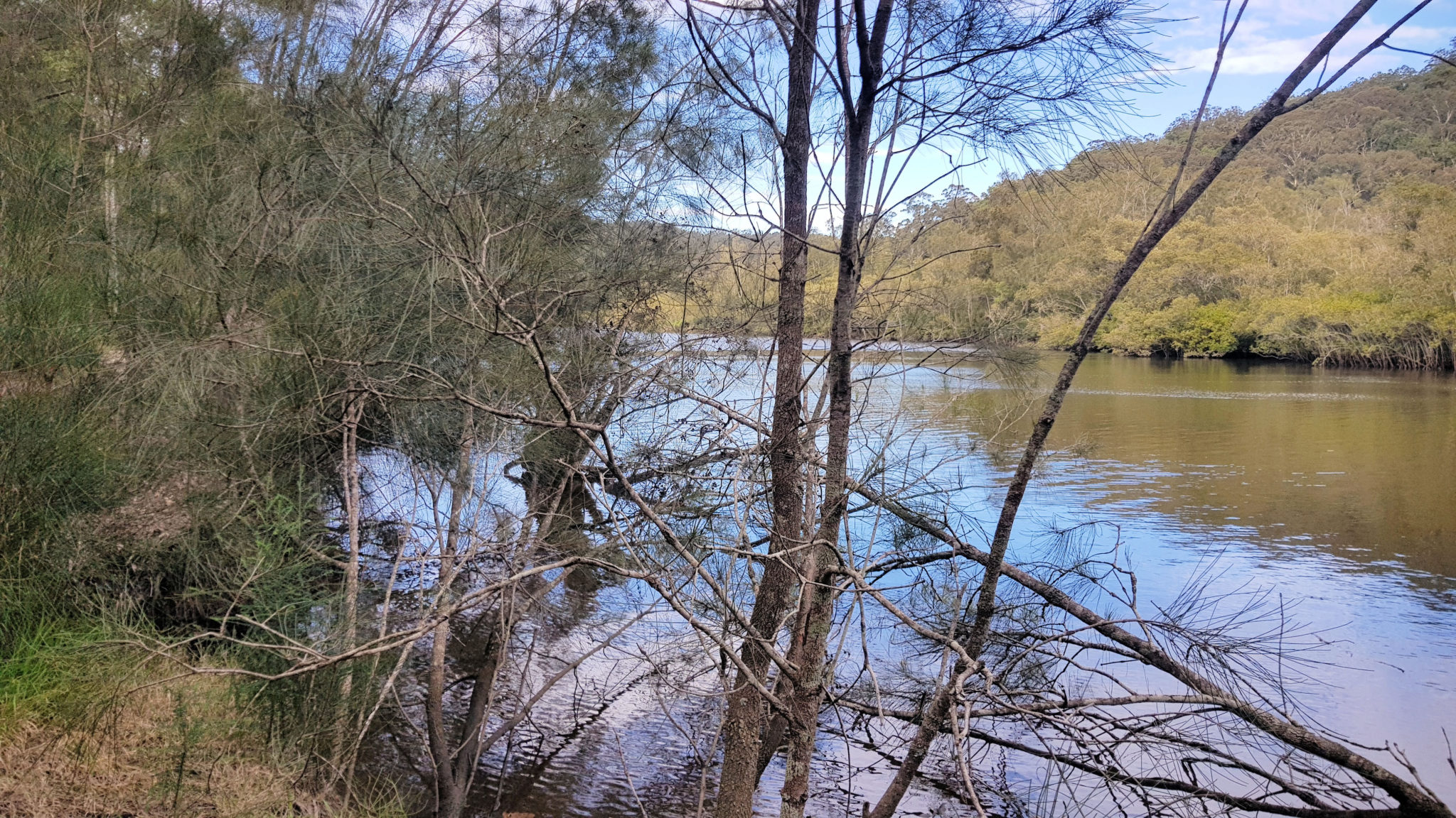 Beautiful Piles Creek Loop Track - Destination's Journey