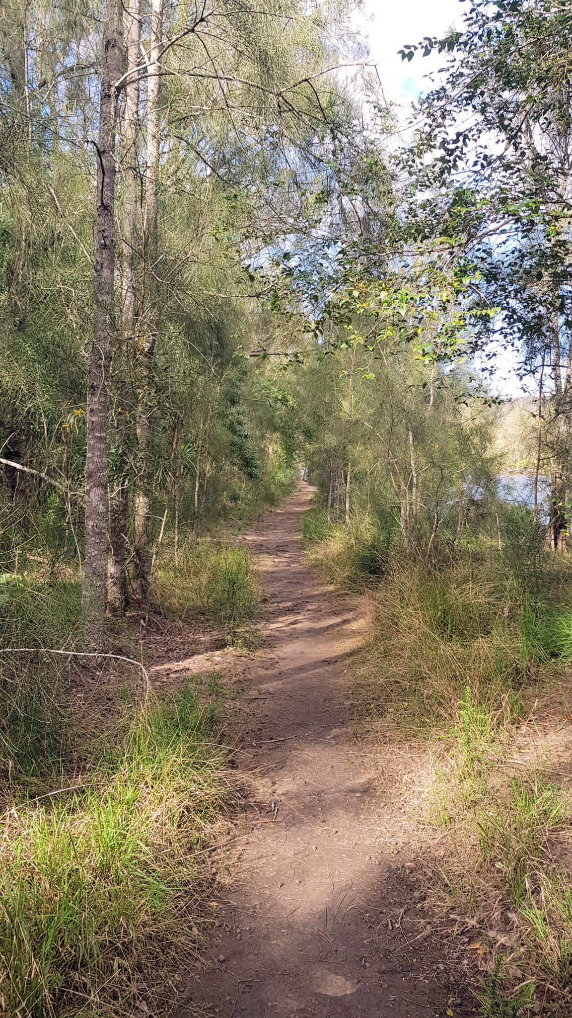 Beautiful Piles Creek Loop Track - Destination's Journey