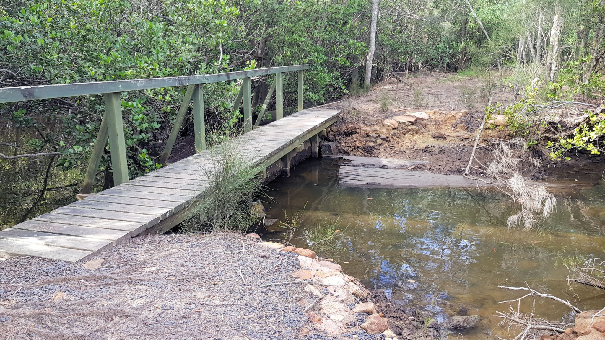 Beautiful Piles Creek Loop Track - Destination's Journey