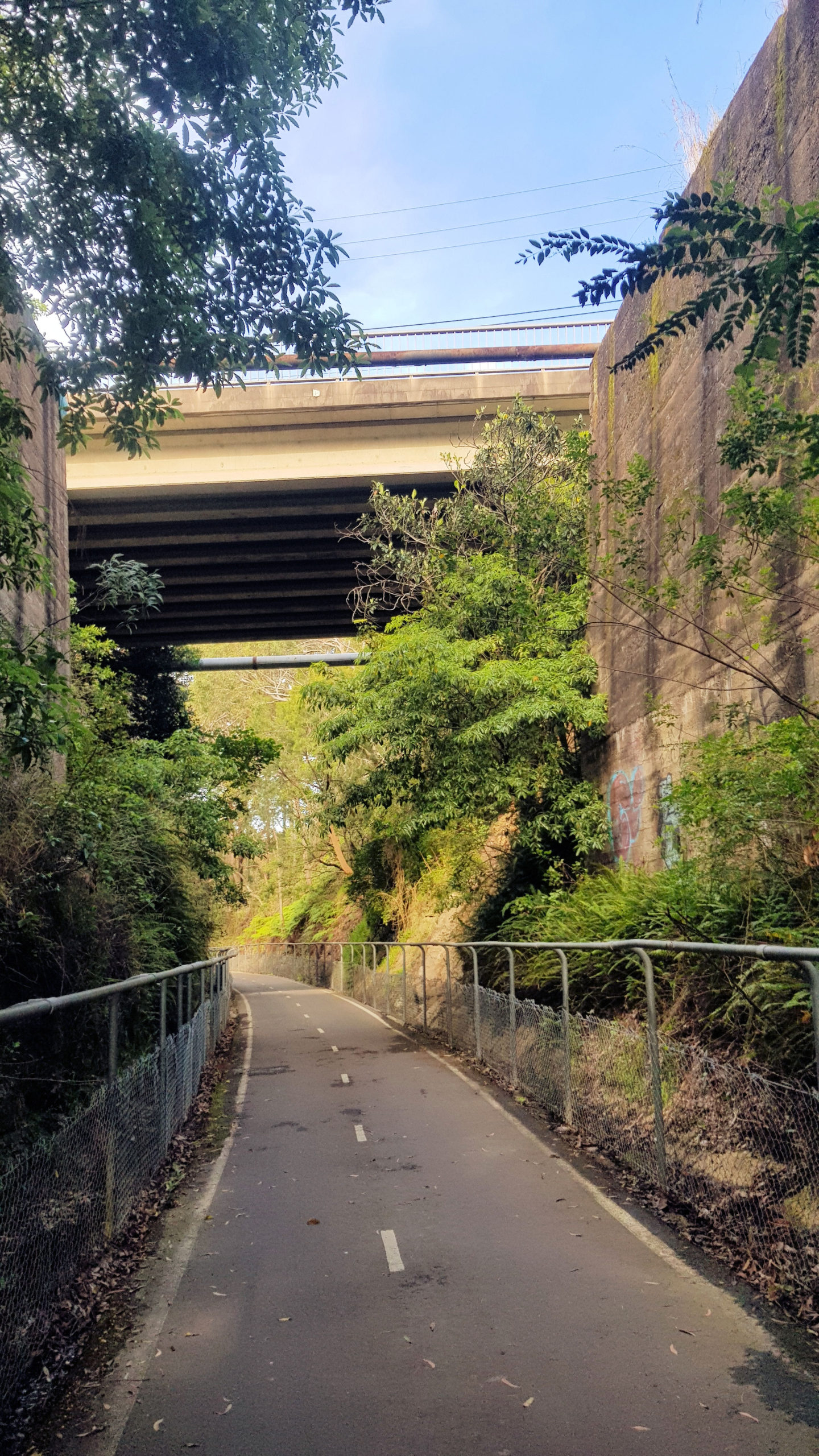 Fernleigh Track Outstanding Biking and Hiking - Destination's Journey