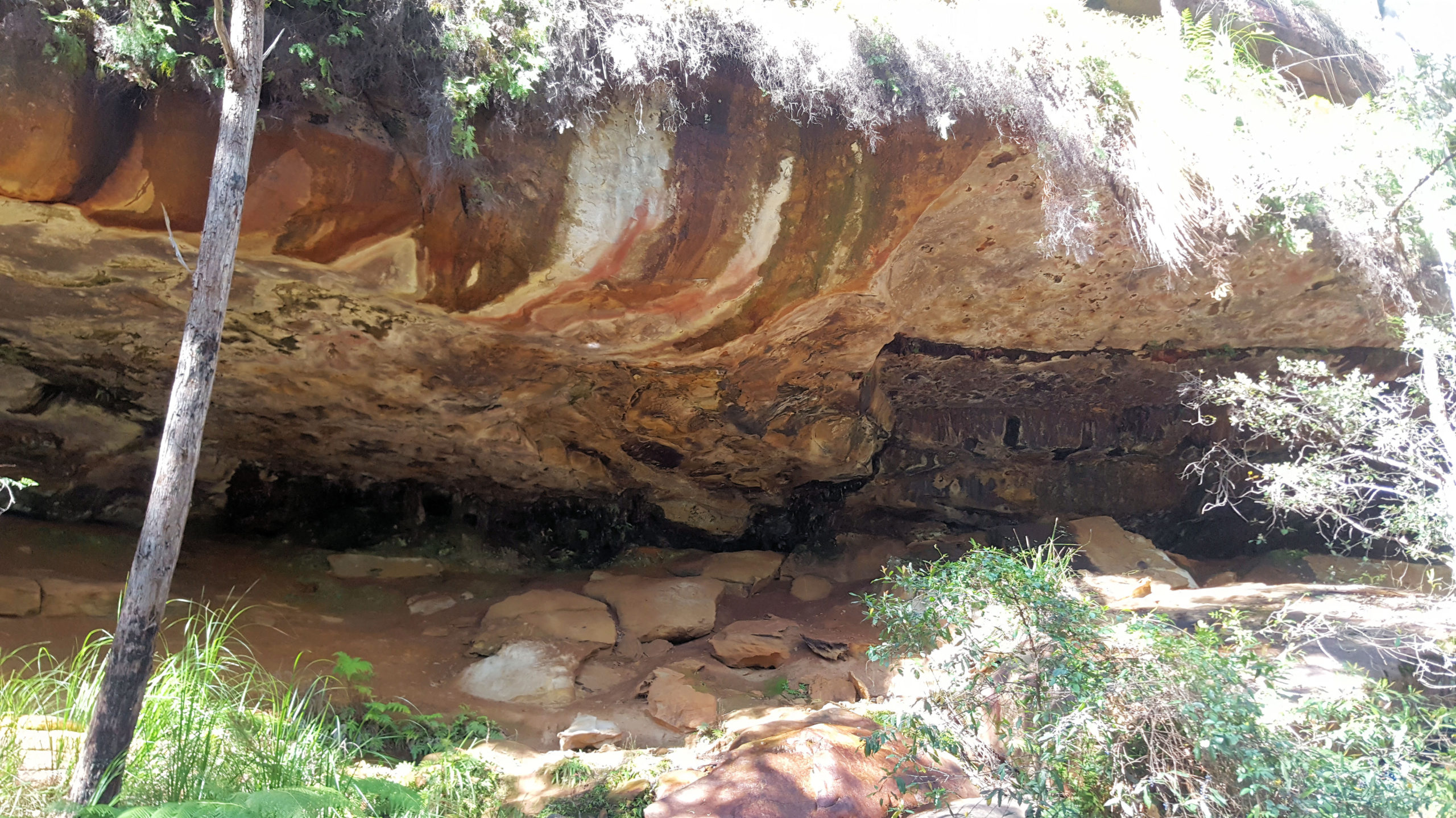 Pearl Beach Patonga Firetrail Bushwalking - Destination's Journey