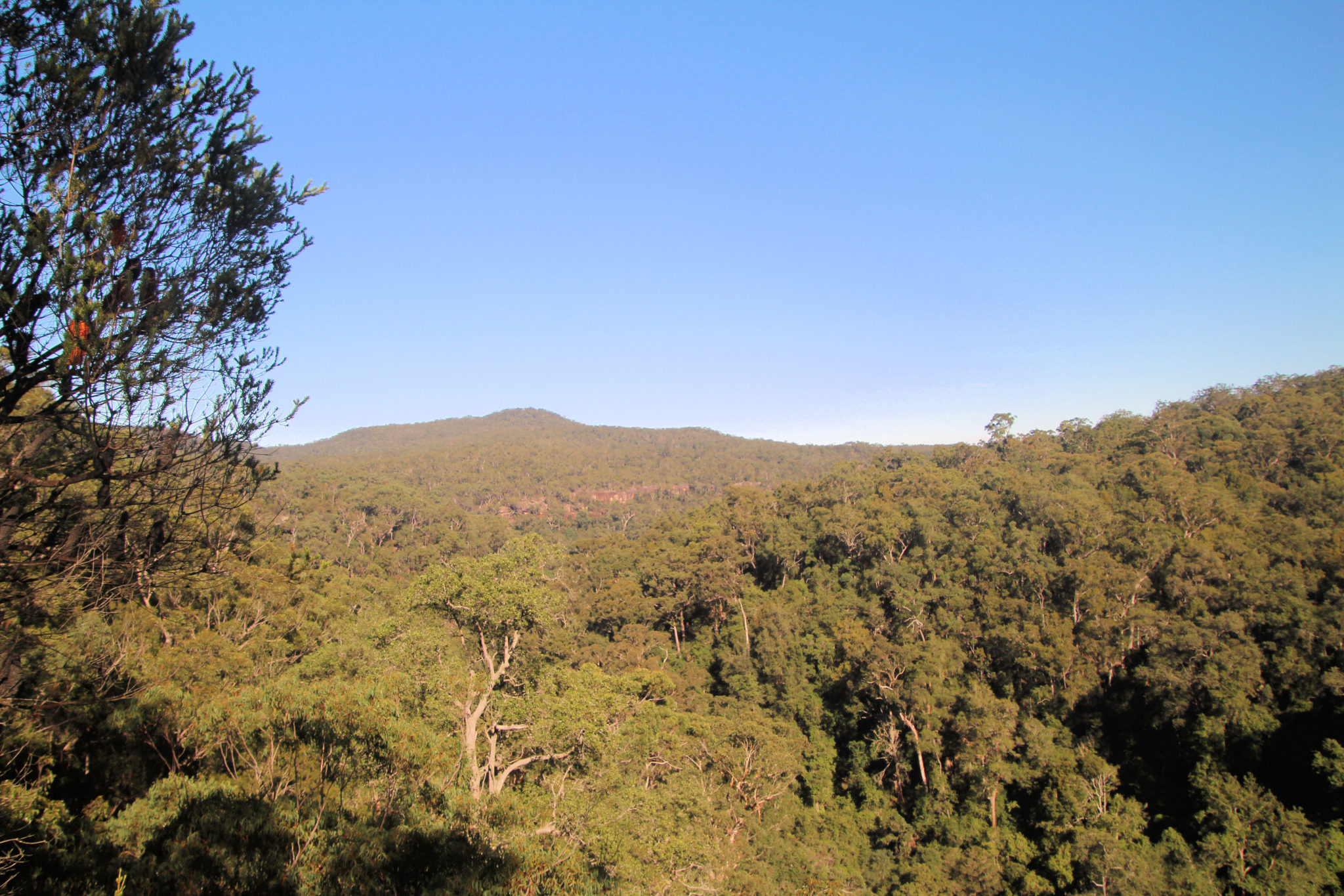 Beautiful Piles Creek Loop Track - Destination's Journey