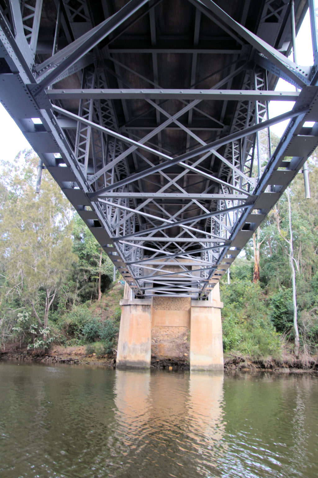 Beautiful Piles Creek Loop Track - Destination's Journey