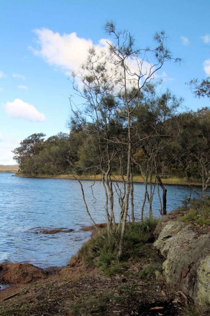 Beautiful Wangi Point Circuit Track - Destination's Journey