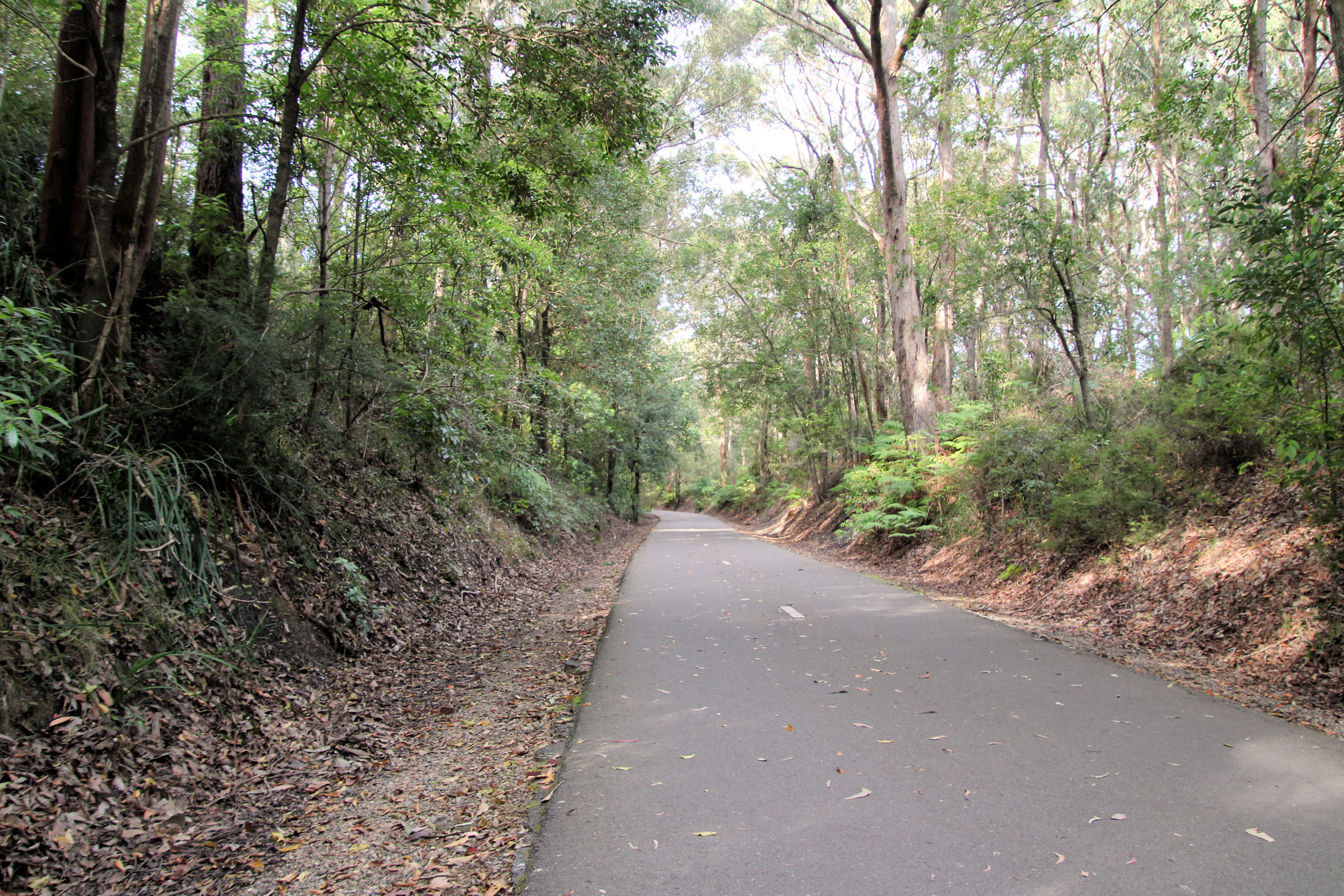 Fernleigh Track Outstanding Biking and Hiking - Destination's Journey