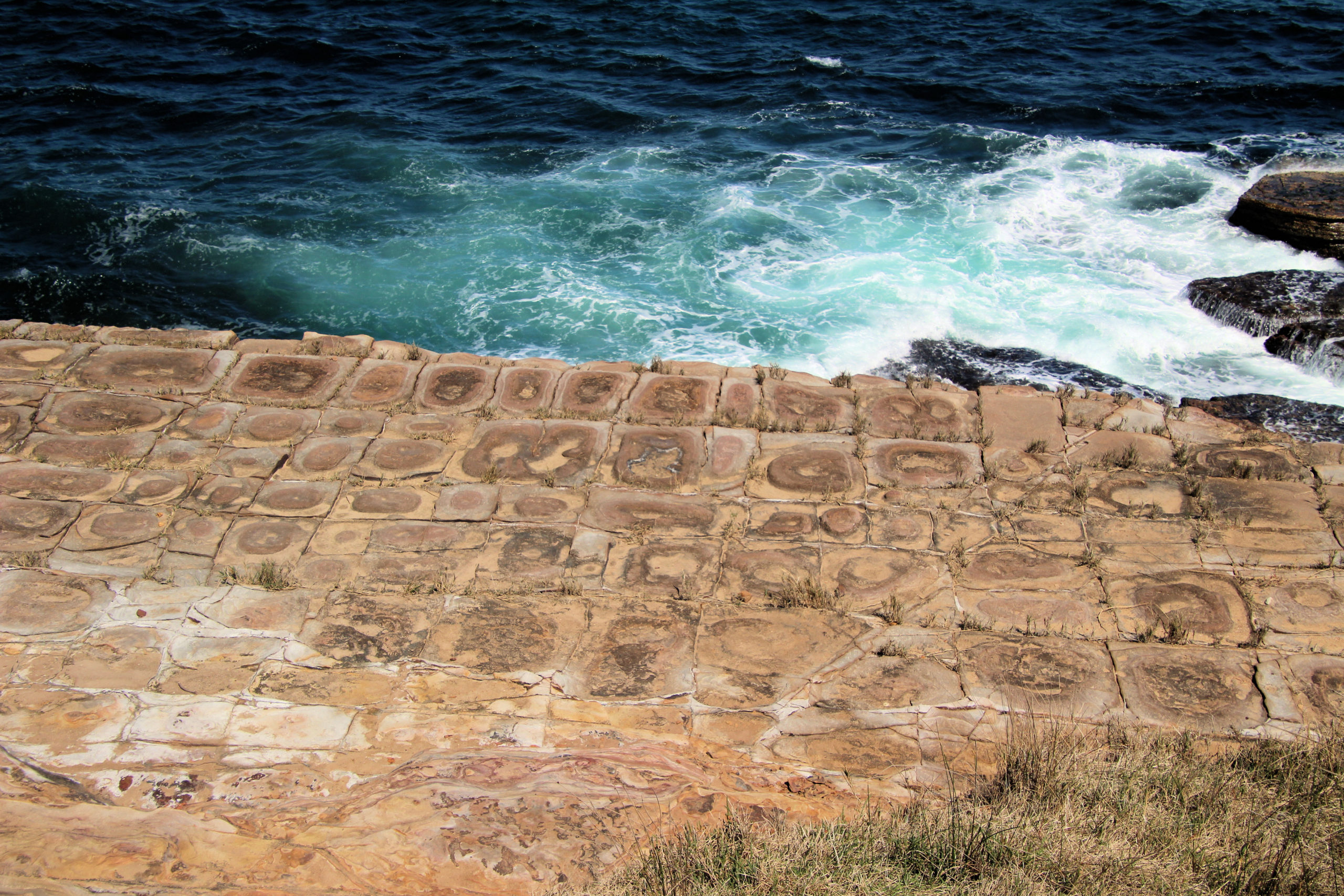 Bouddi Coastal Walk with Beautiful Views - Destination's Journey