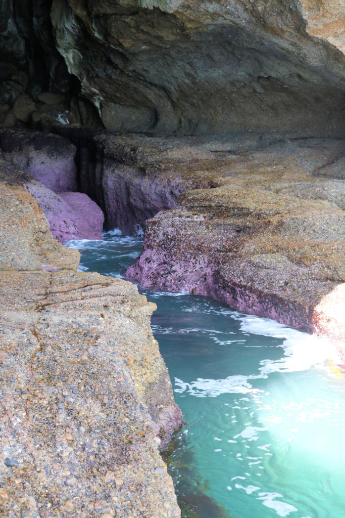 Moonee Beach and the Pink Cave - Destination's Journey