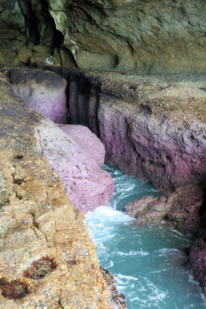 Moonee Beach and the Pink Cave - Destination's Journey