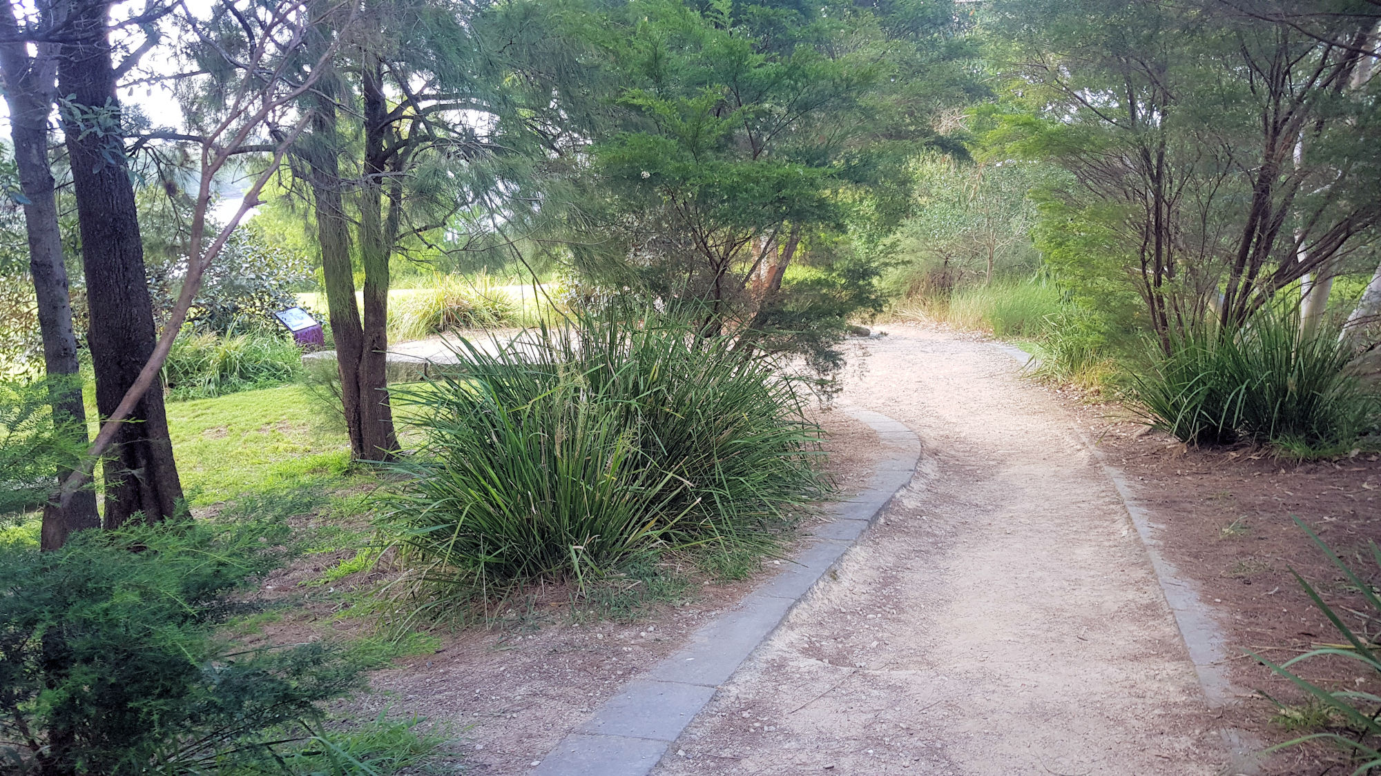 Woolwich Dock on Sydney Harbour - Destination's Journey