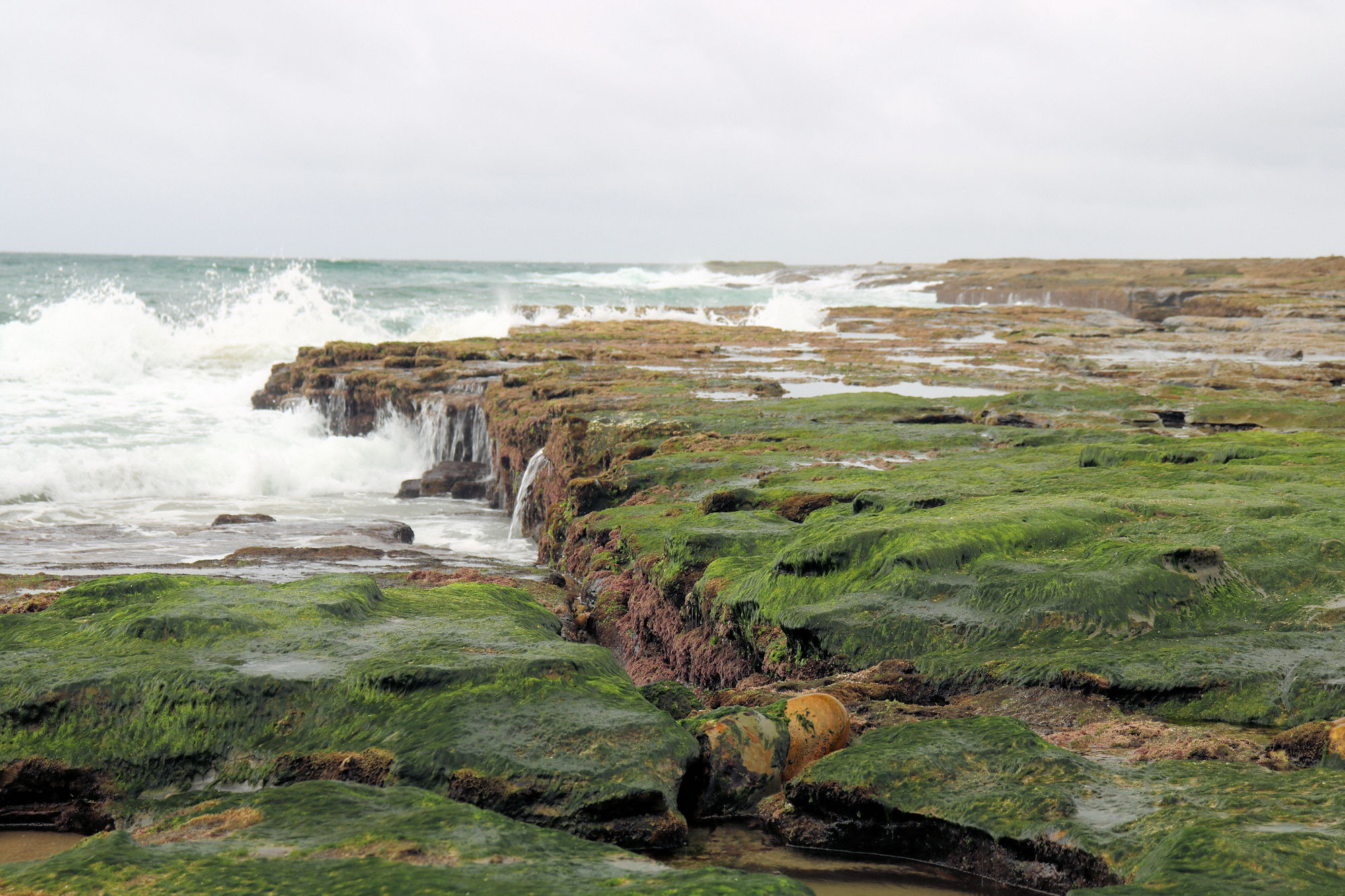 Dudley Beach Fossilised Forest - Destination's Journey