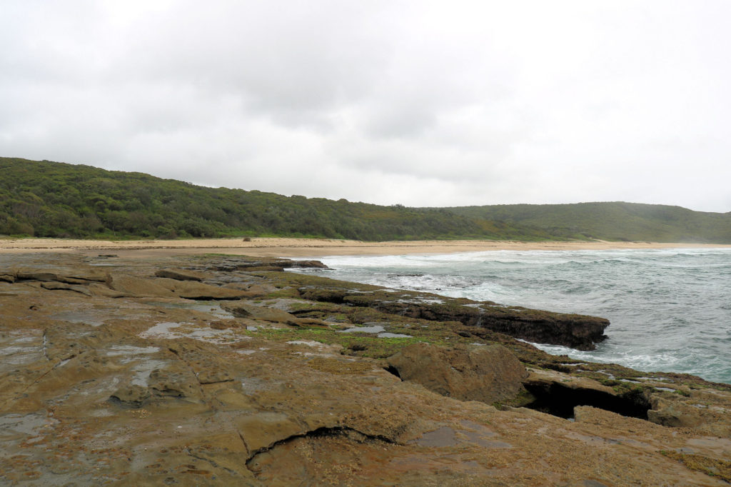 Dudley Beach Fossilised Forest - Destination's Journey