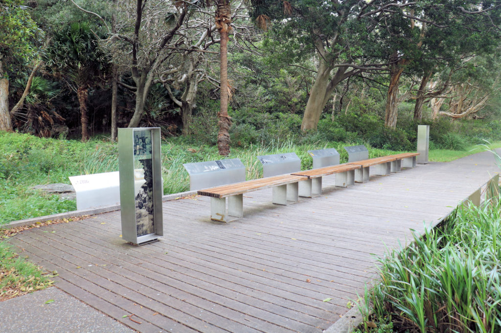 Burrawang Walk Kamay Bay - Destination's Journey