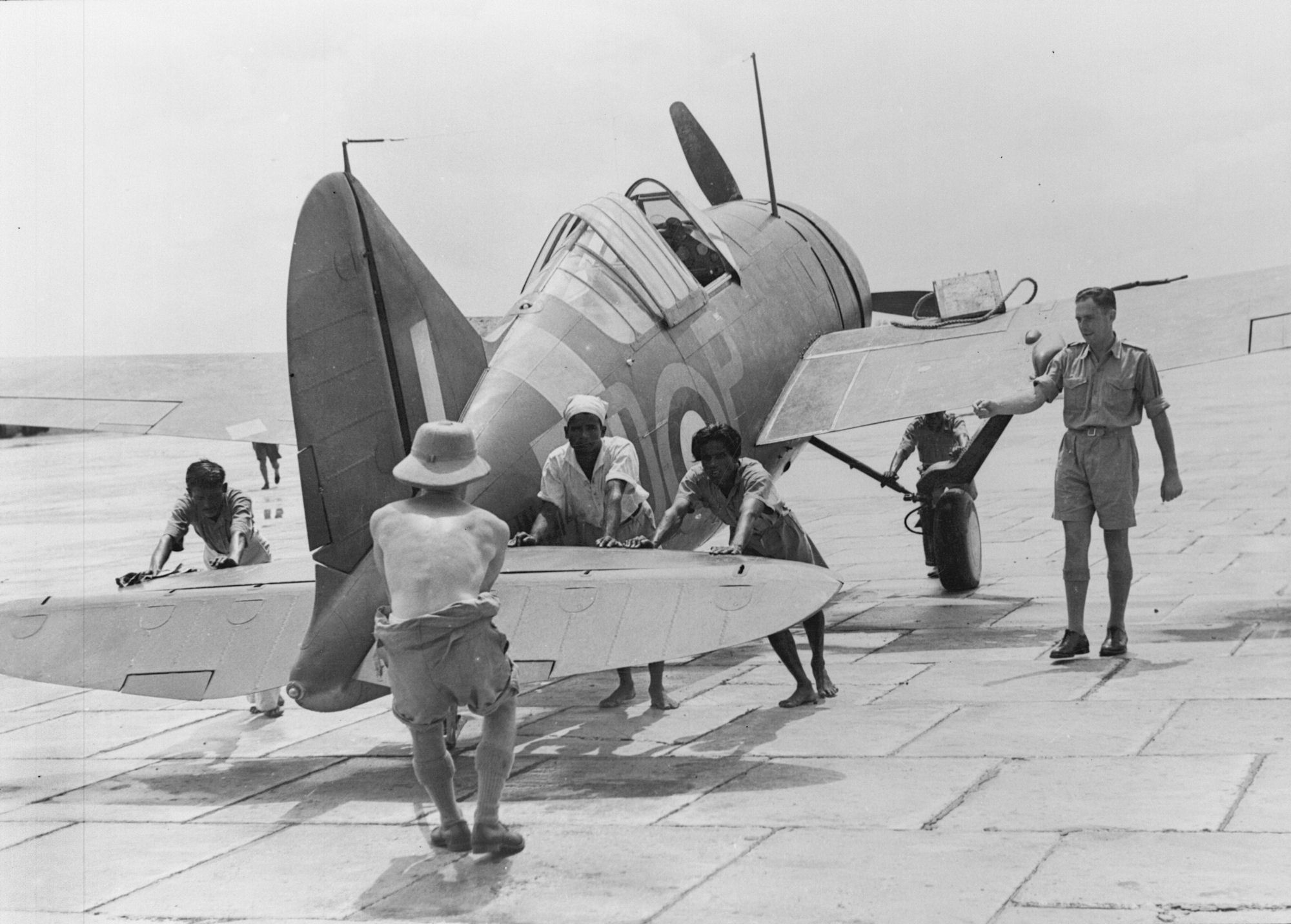 Brewster Buffalo in RNZAF Service - Destination's Journey