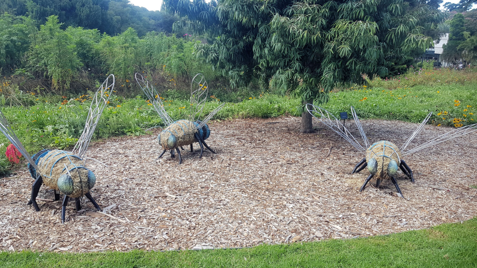 Statues Royal Botanic Garden Sydney - Destination's Journey