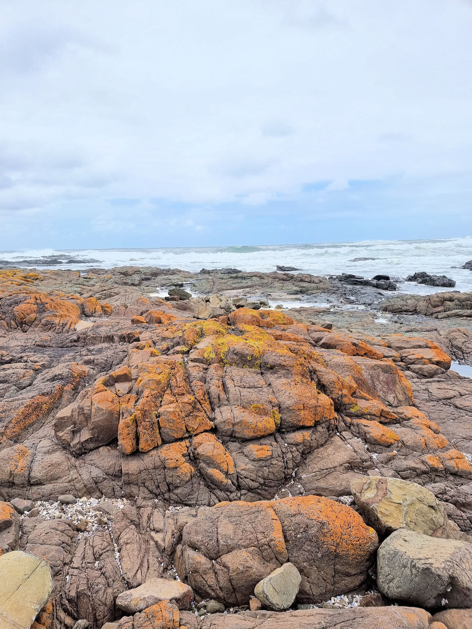 Bass Point Reserve - Destination's Journey