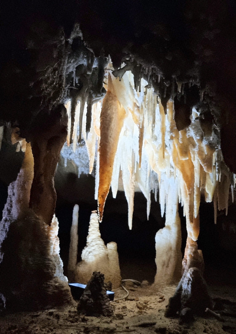 Wombeyan Caves - Destination's Journey