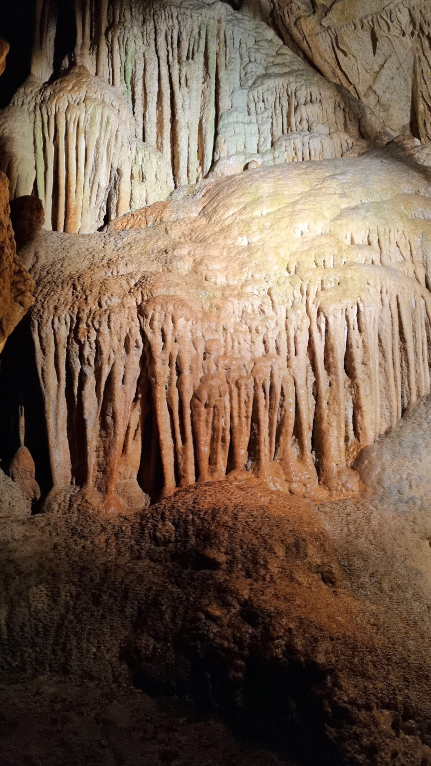 Wombeyan Caves - Destination's Journey