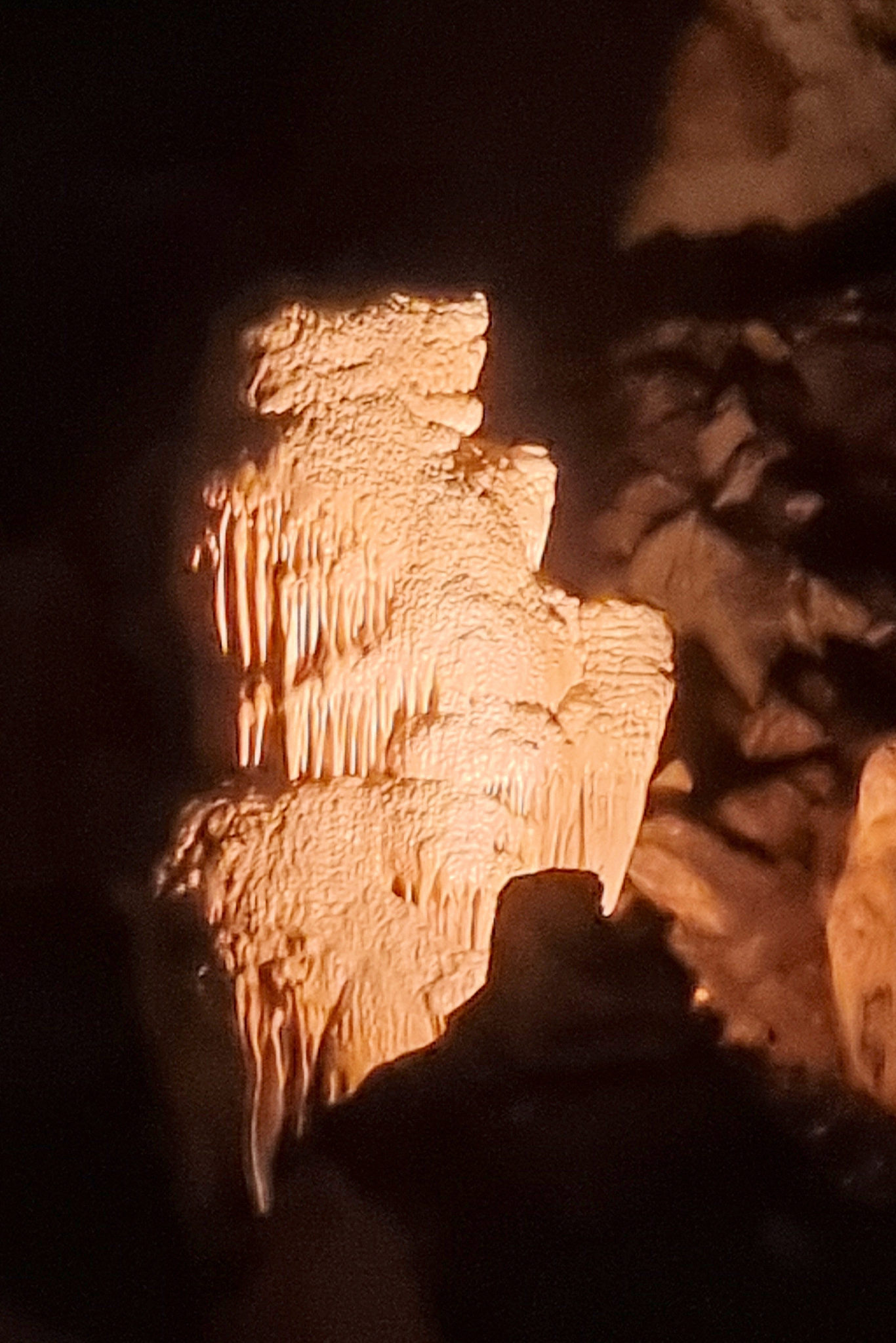 Wombeyan Caves - Destination's Journey