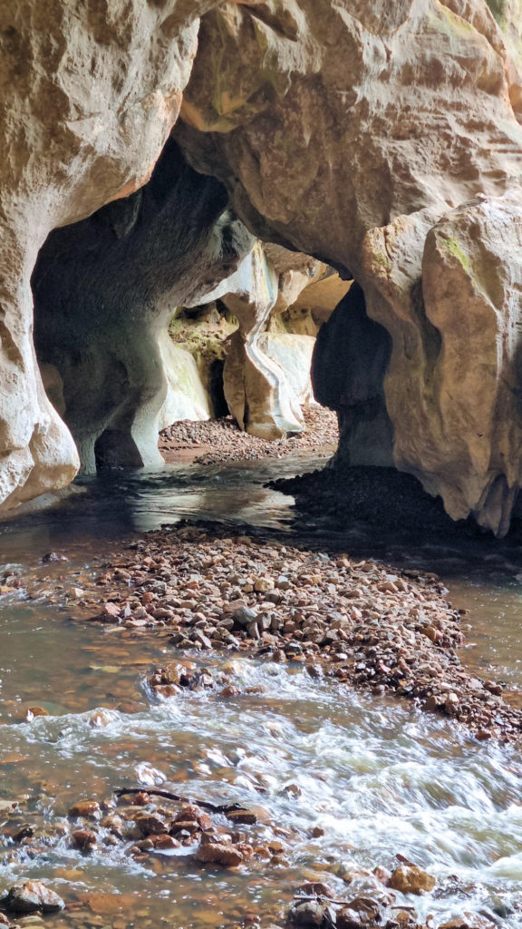 Wombeyan Caves - Destination's Journey