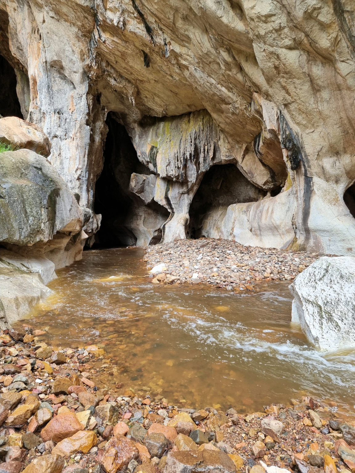 Wombeyan Caves - Destination's Journey