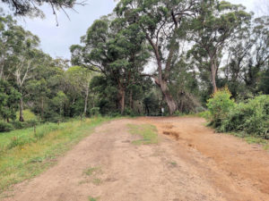 Box Vale Walking Track Tunnel - Destination's Journey