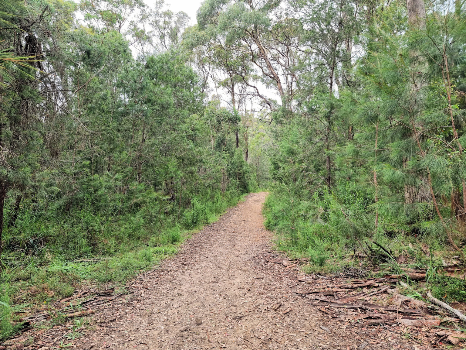 Box Vale Walking Track Tunnel - Destination's Journey