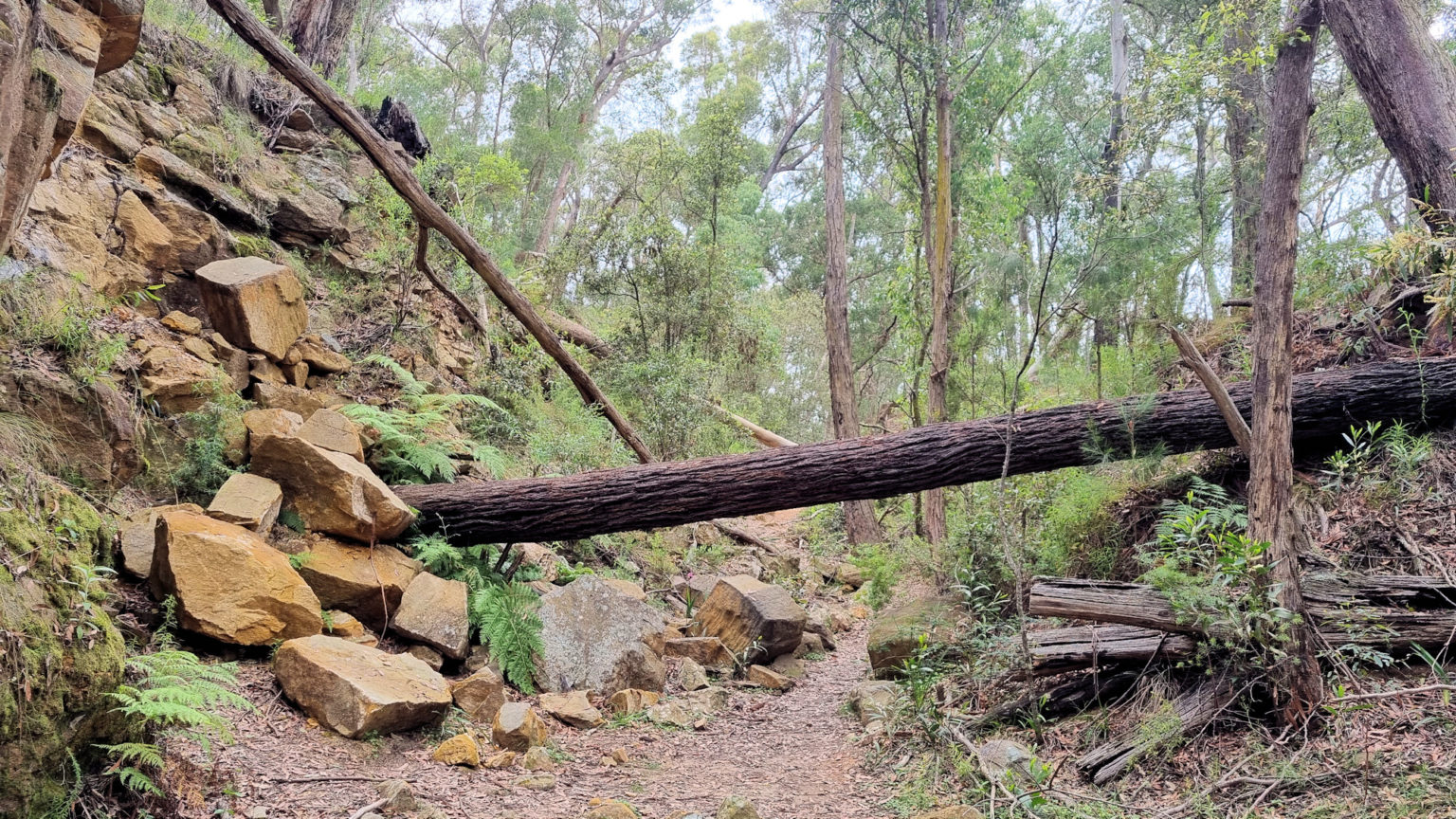 Box Vale Walking Track Tunnel - Destination's Journey