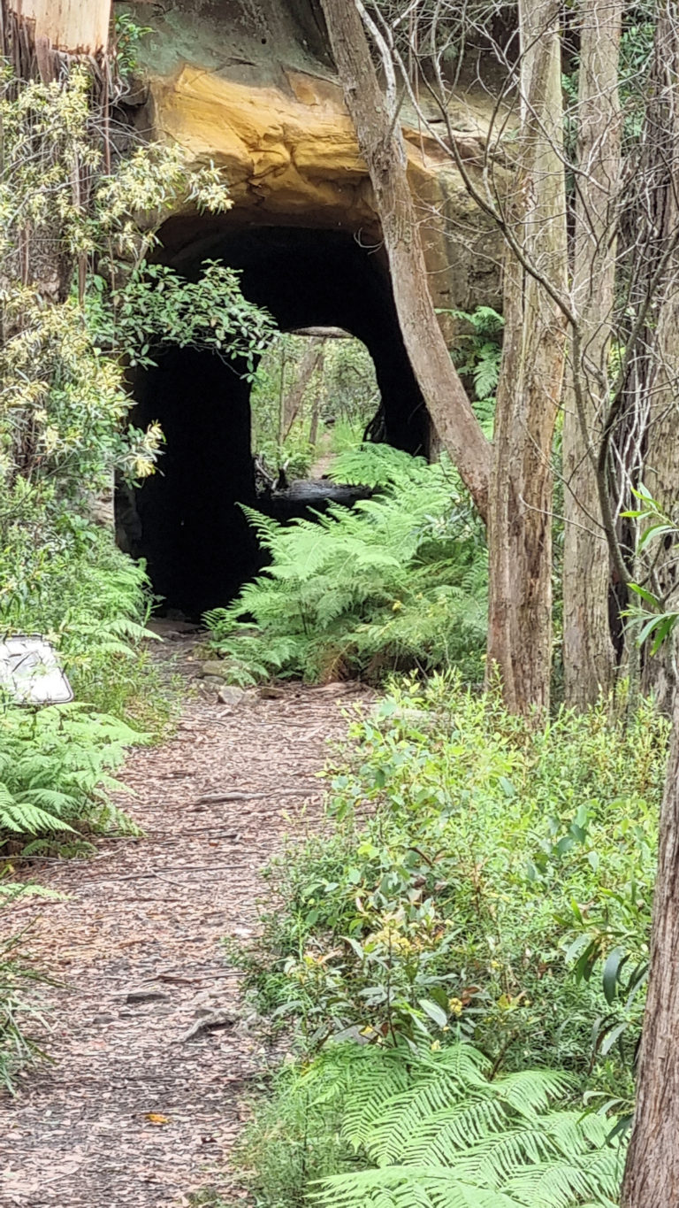 Box Vale Walking Track Tunnel - Destination's Journey