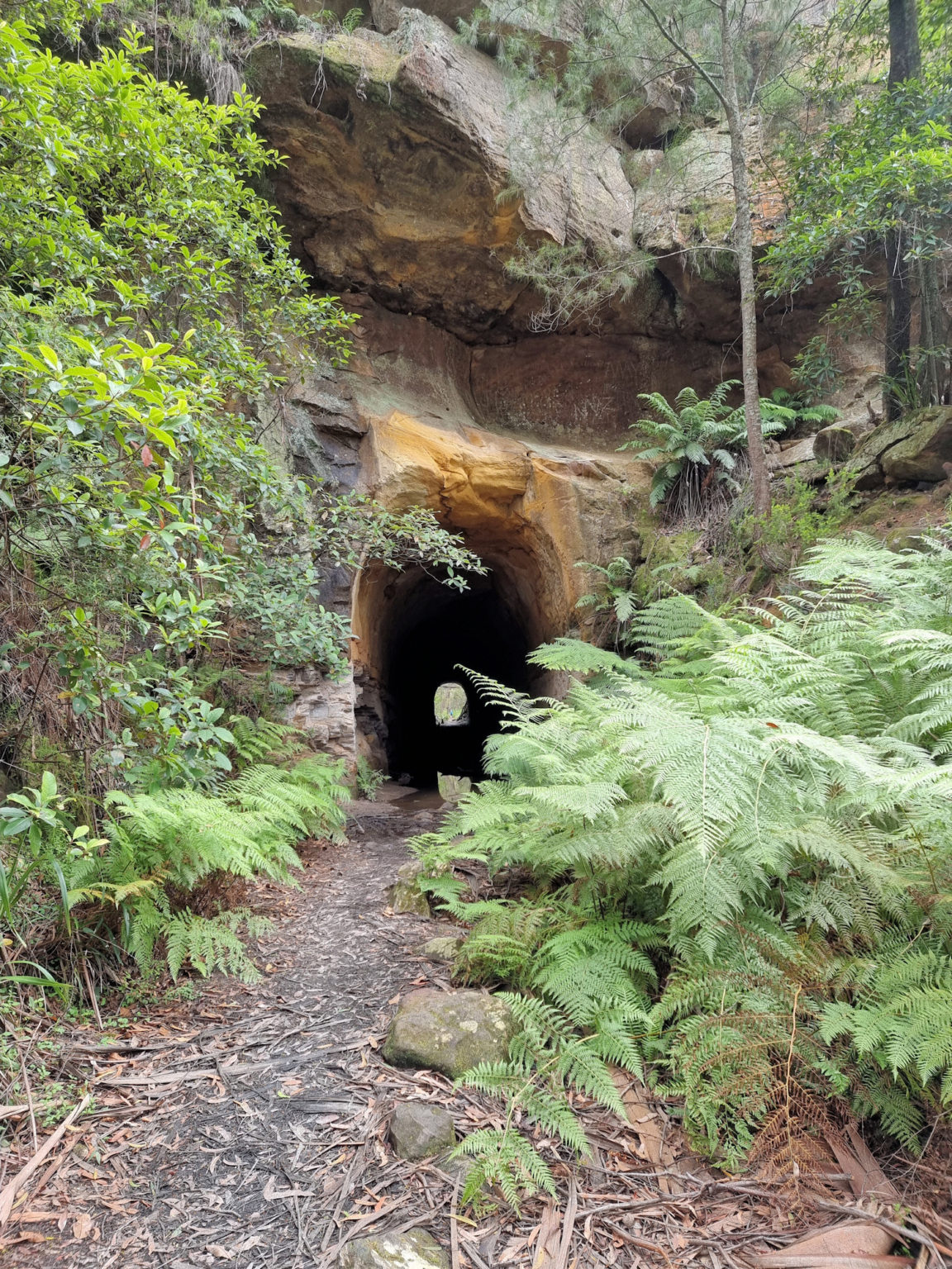 Box Vale Walking Track Tunnel - Destination's Journey