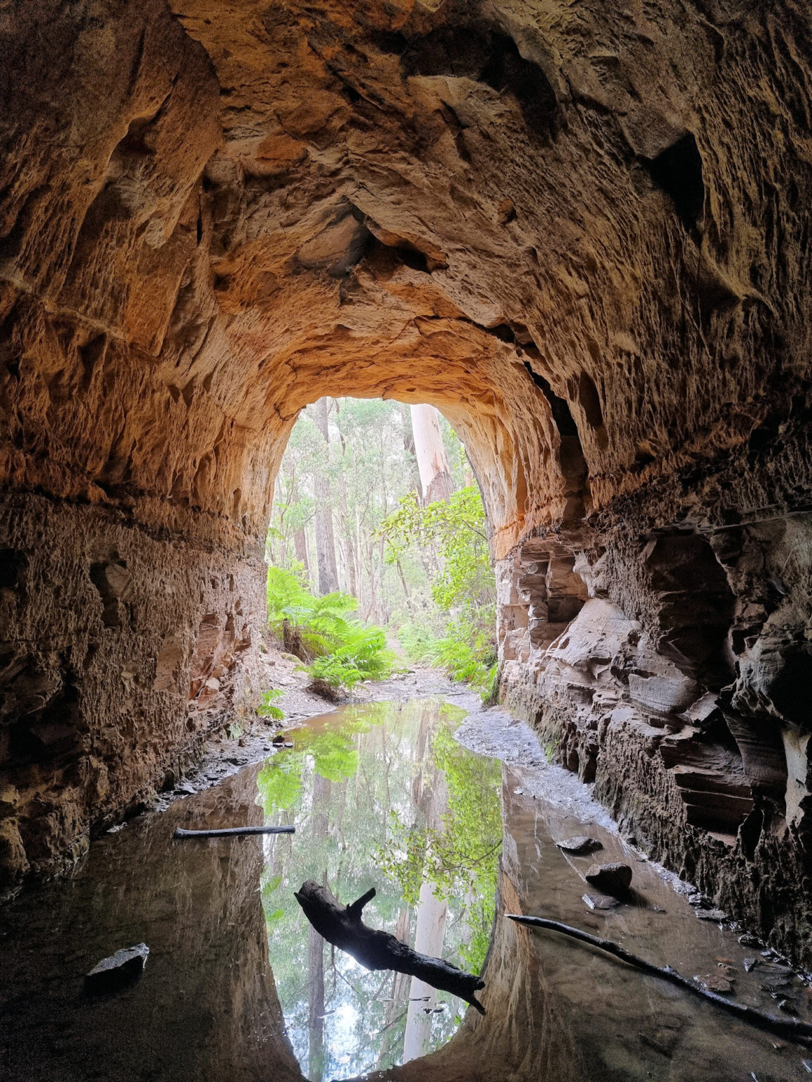 Box Vale Walking Track Tunnel - Destination's Journey